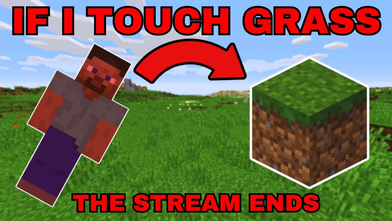 Minecraft But If I Touch Grass, The Stream Ends! - YouTube