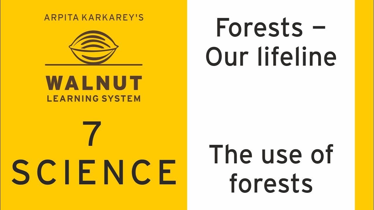 7 Science - Forests - The use of forests - YouTube