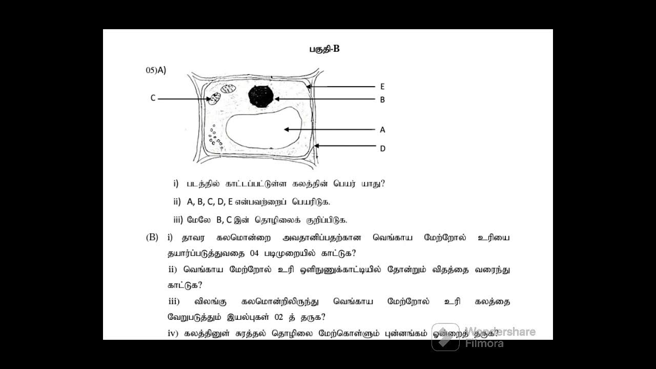 Grade 10 Science Tamil Medium Exam Paper 2nd Term YouTube grade-10-science-tamil-medium-exam-paper-2nd-term-youtube