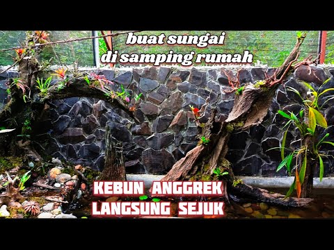 taman mini anggrek _ lenscape kolam natural_#anggrek #orchid #lenscape ...