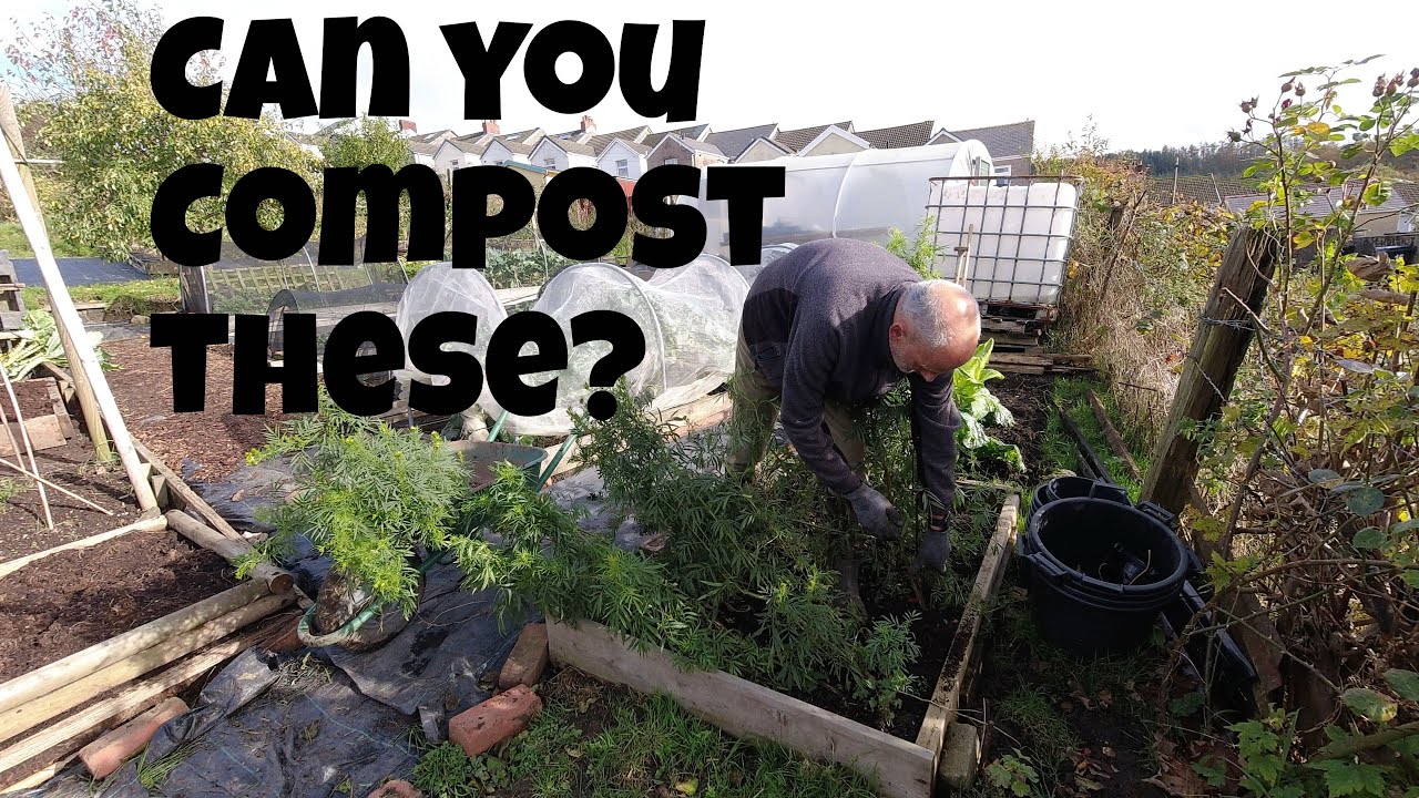 Can you compost these? | Allotments For Fun and Food - YouTube