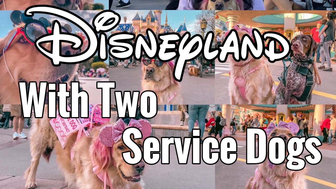Disneyland With Two Service Dogs! - YouTube