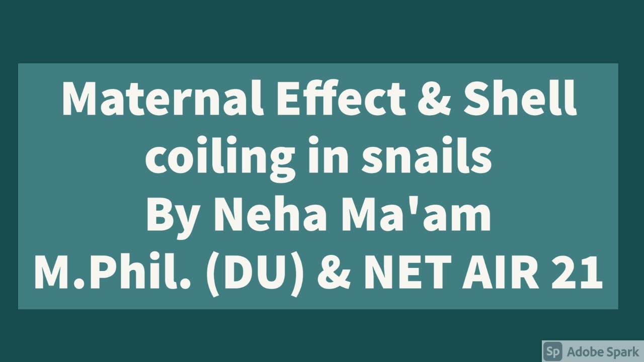 Maternal effect | Shell coiling in snails | CSIR NET Life Sciences ...