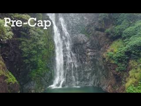 Netravali wildlife Sanctuary | Mainapi WaterFalls | South GOA ...
