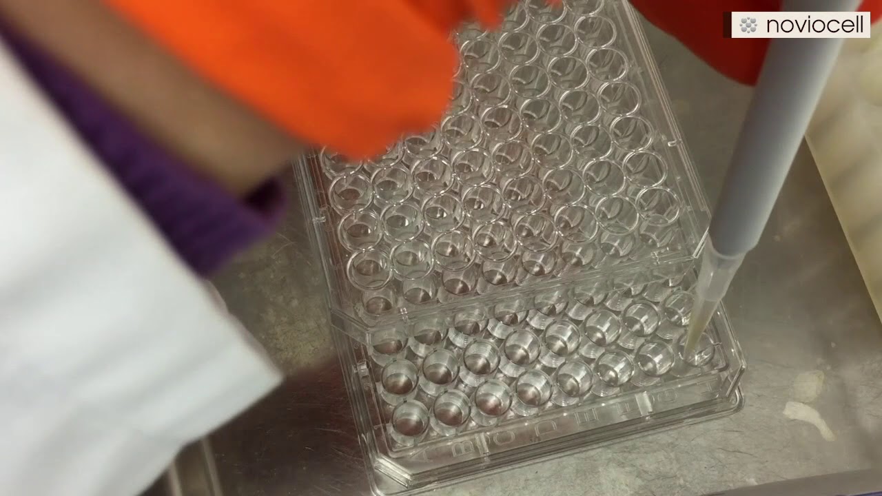 Instruction"how to prepare Syntrix hydrogels" - YouTube