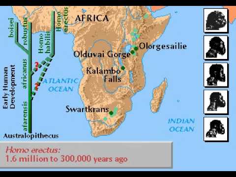 Η ΕΞΕΛΙΞΗ ΤΟΥ ΑΝΘΡΩΠΟΥ ΜΕΧΡΙ to 10 000 B C - YouTube