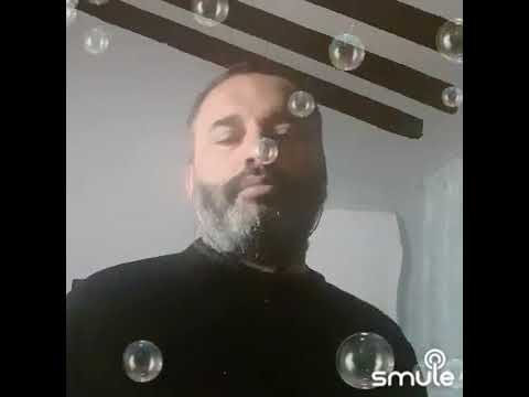 Mor Gülleri