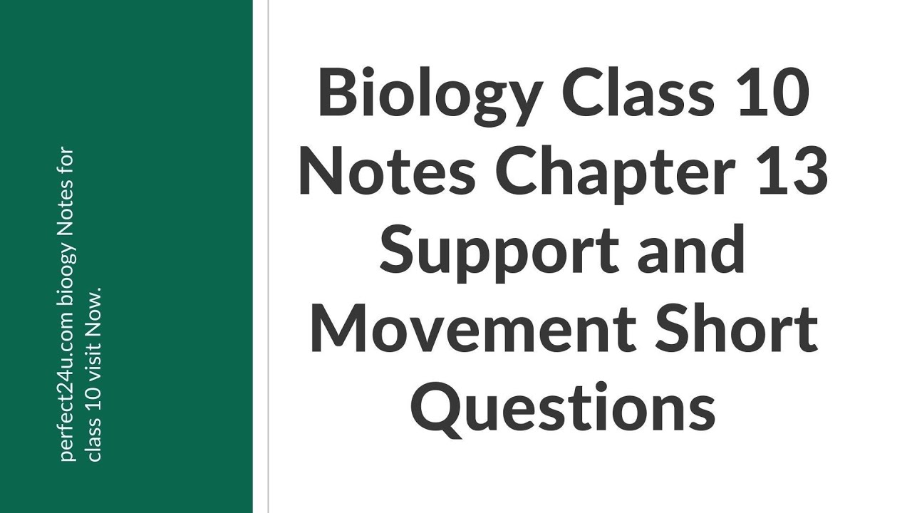 Support and Movement most important short questions - YouTube