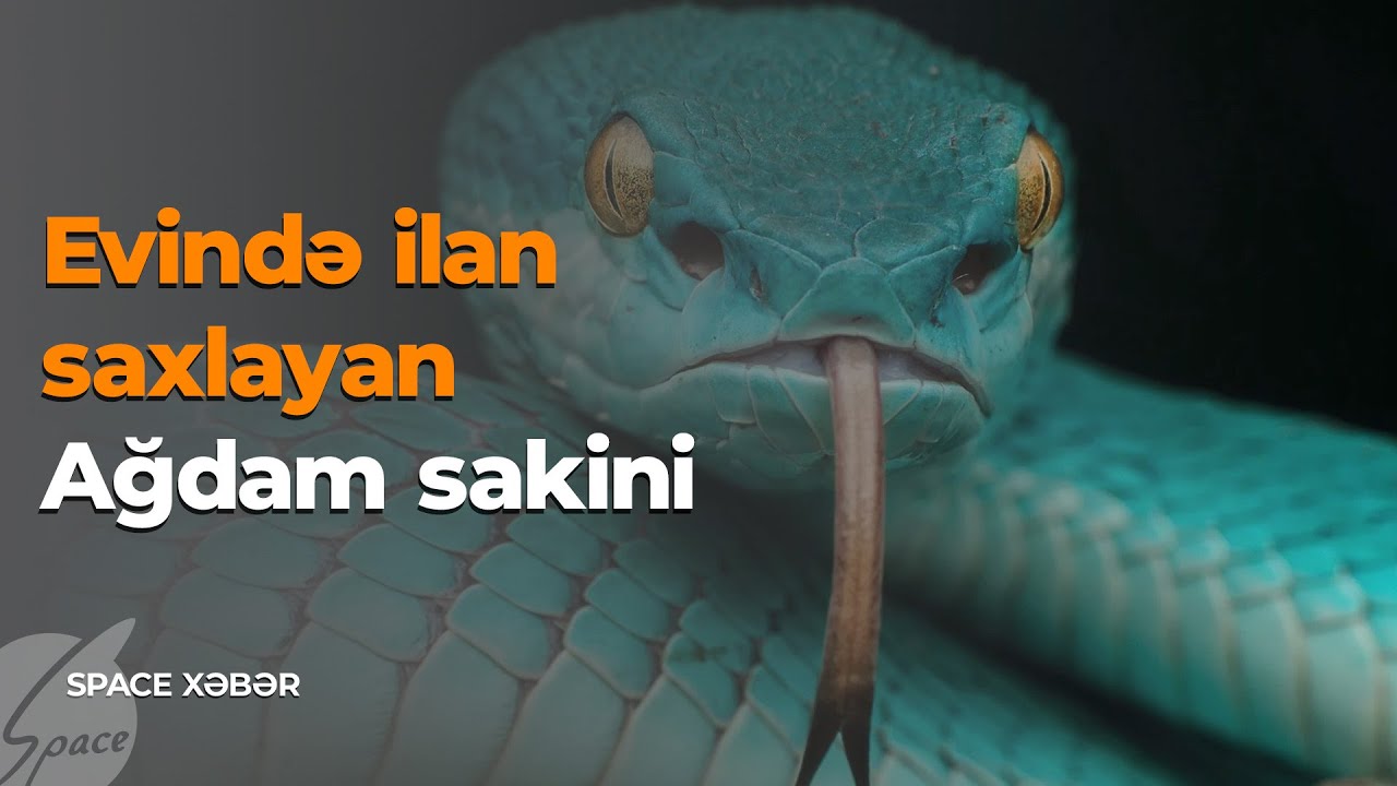 Evində ilan saxlayan Ağdam sakini - Space Xəbər - YouTube