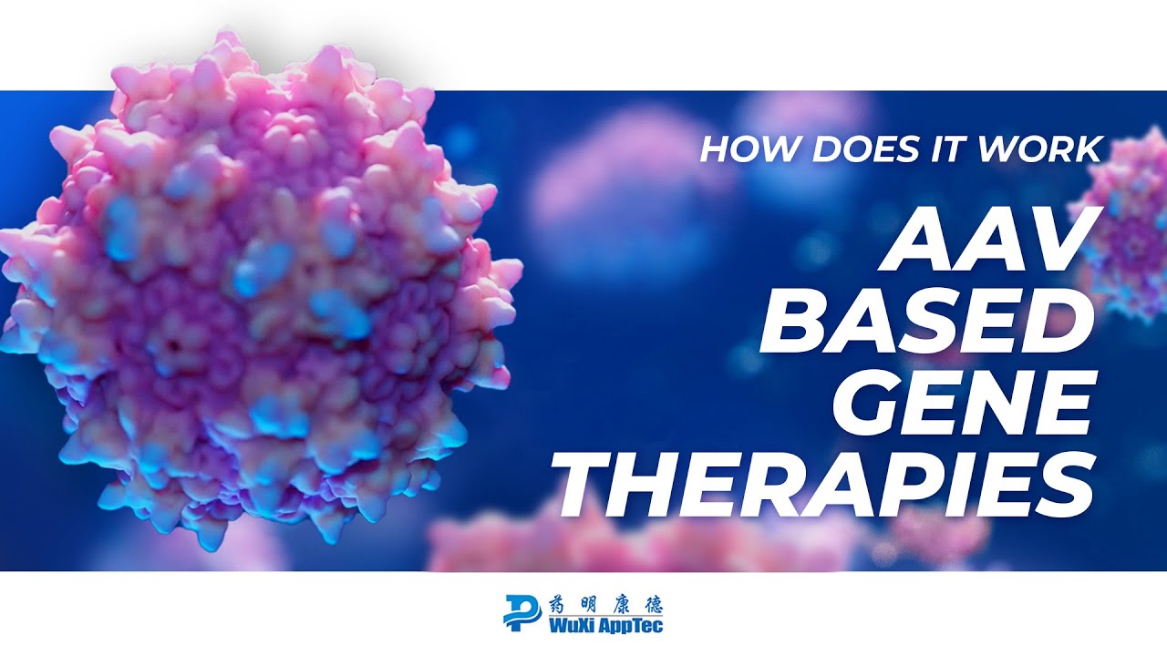 How Does It Work Aav Based Gene Therapies Youtube