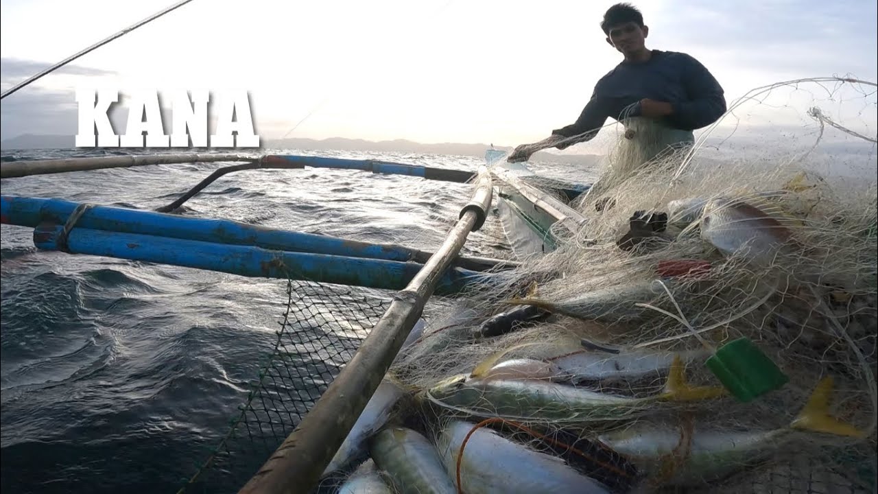 Nadali rin kalapato same spot lang varando tv - YouTube