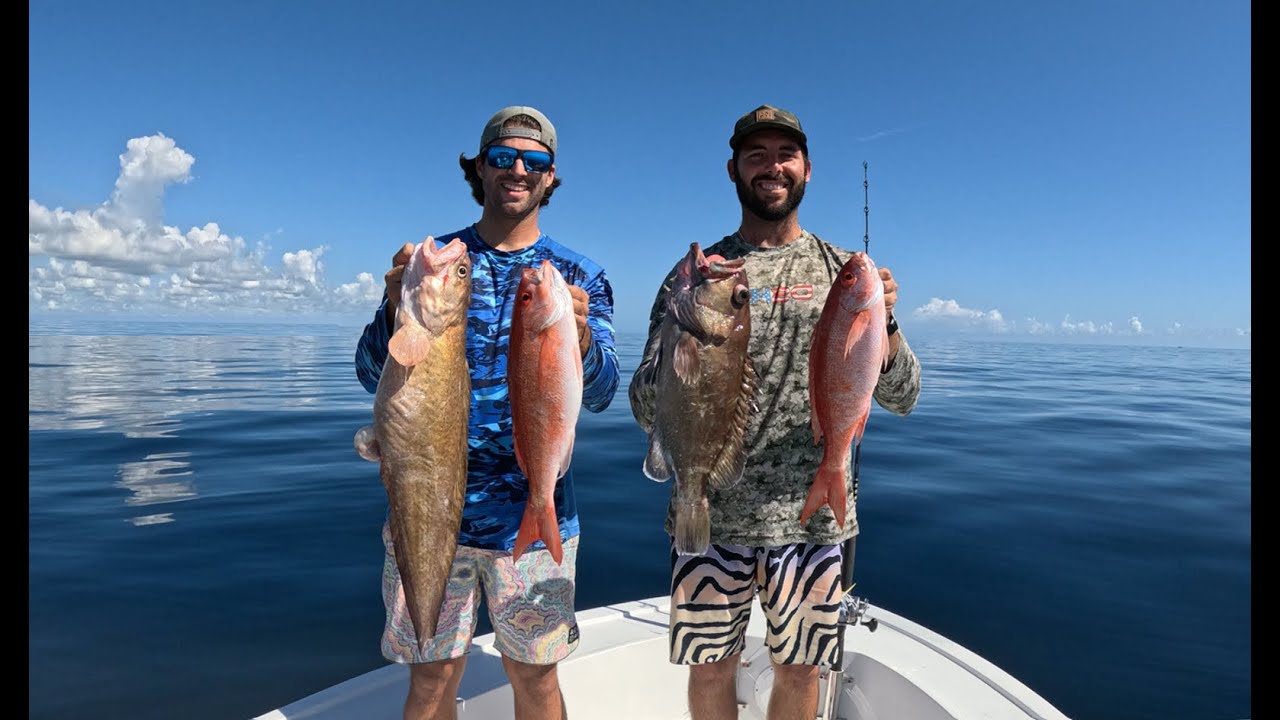Very RARE bycatch while DEEP DROPPING for grouper! | CATCH | CLEAN | COOK - YouTube