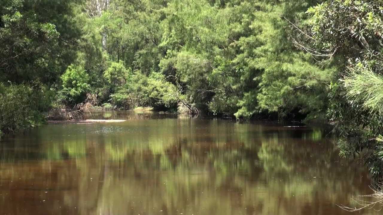 Yalwal - South Coast - NSW - Australia - YouTube