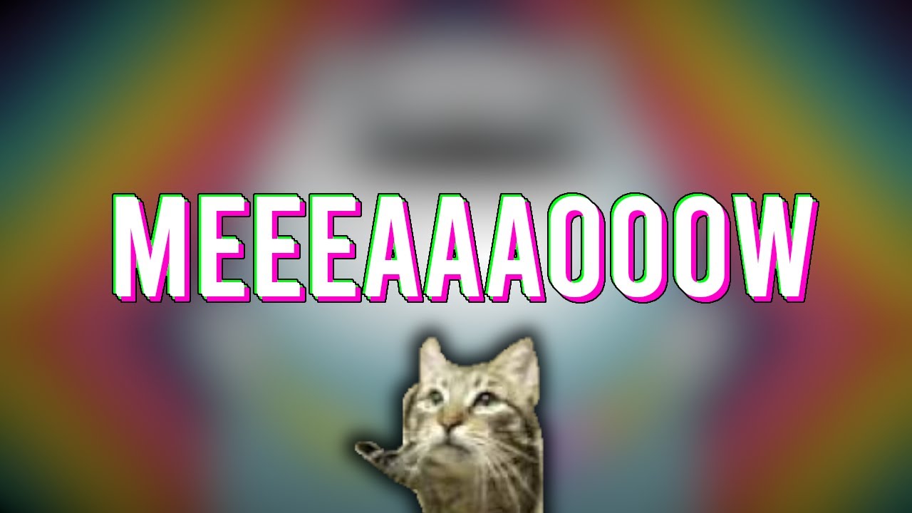 EEEAAAOOO (Meowsynth full remix) - YouTube