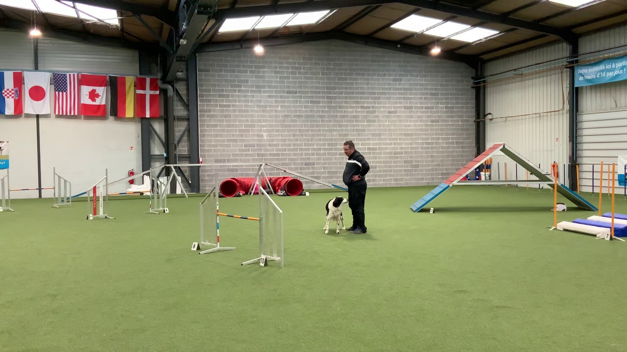 MICHAEL NEO - YouTube