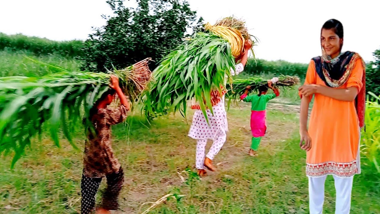 Amazing Old Culture Village Life Punjab Pakistan | Minto Family Vlogs ...