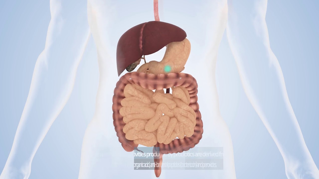 Uncovering how skin probiotics work. proBio65 - Beauty starts from ...