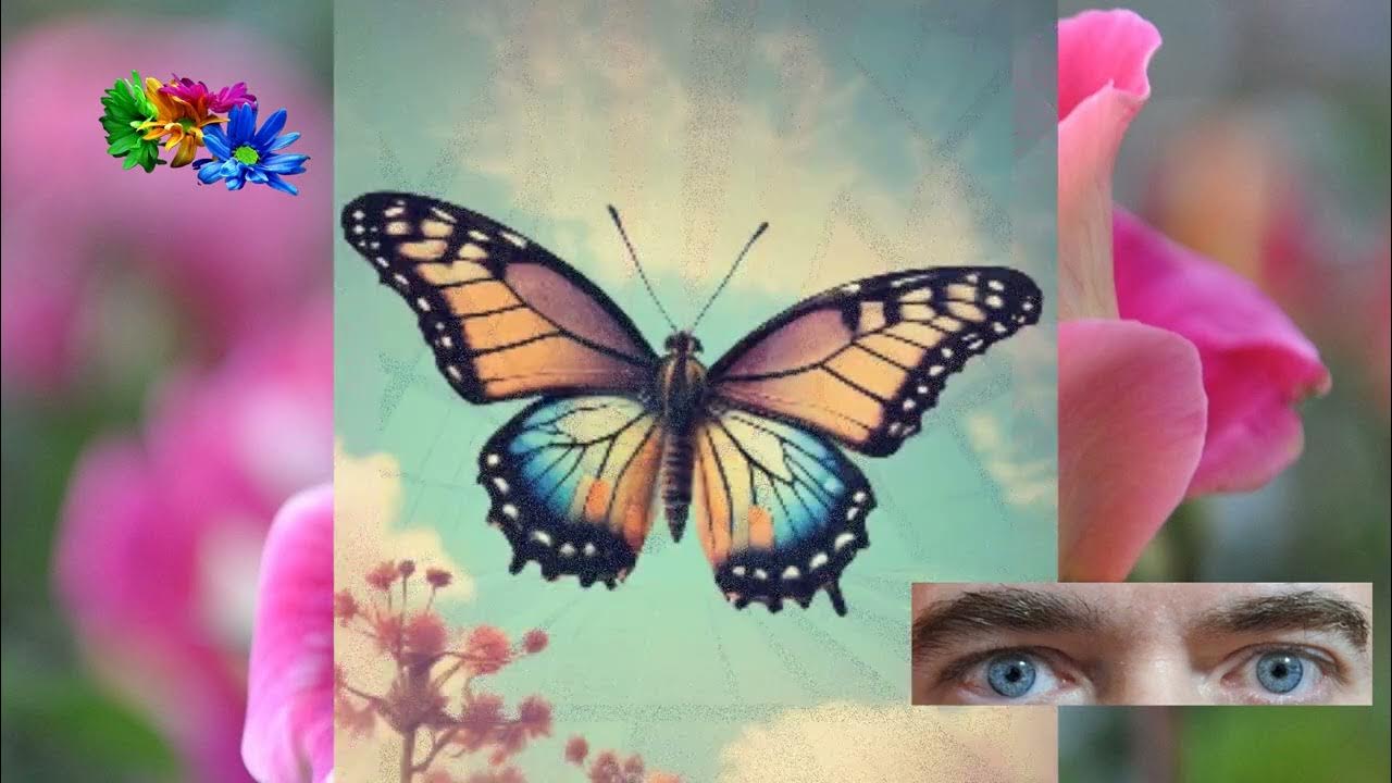 MY DEAR 'BUTTERFLY' BY ADI+AI - YouTube