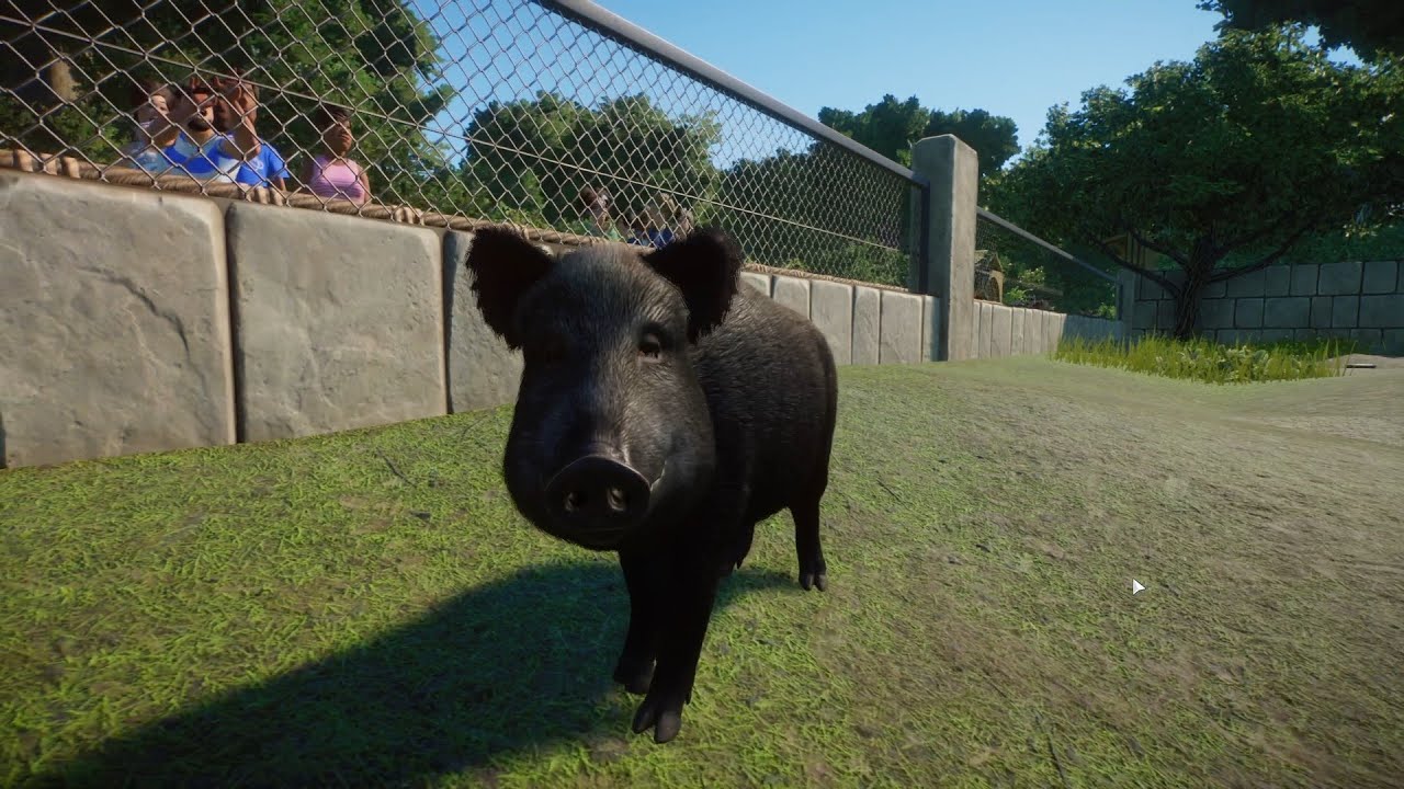 Planet Zoo (PC)(English) #162 7 Minutes of Wild Boar (Eurasia DLC ...