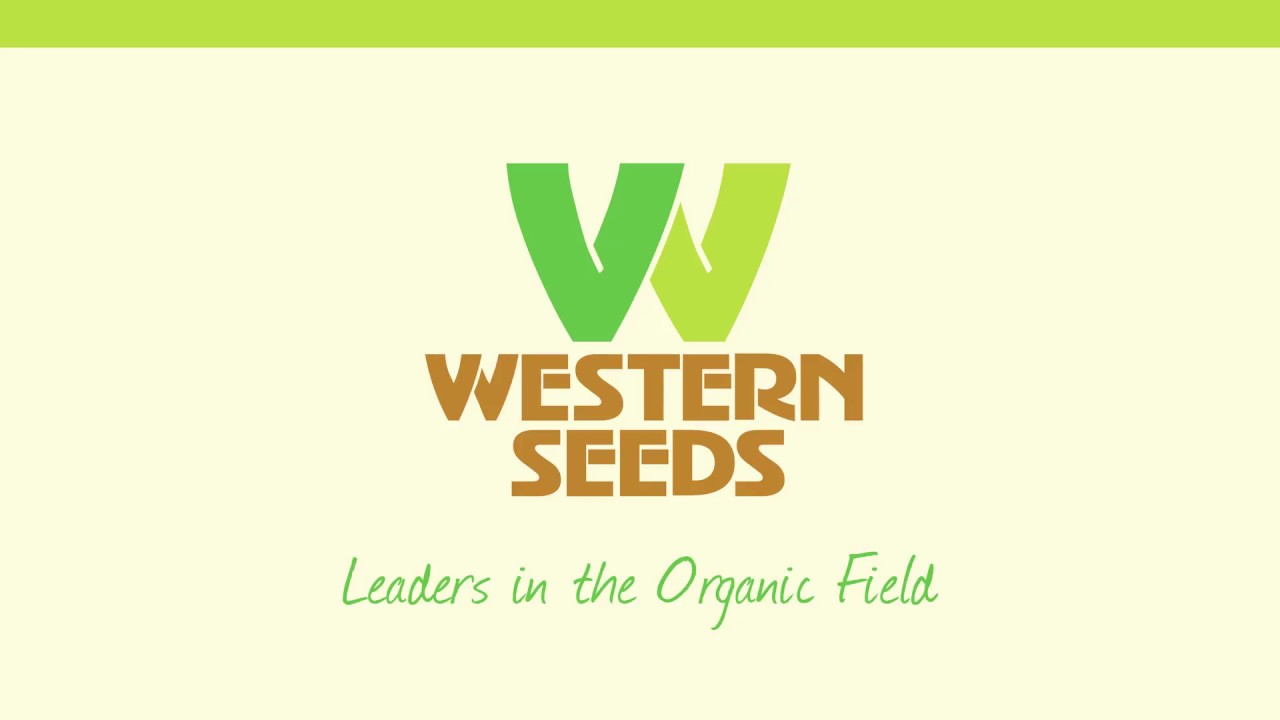 Western Seeds Trial Site - YouTube