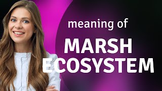Exploring the Marsh Ecosystem: A Journey Through Nature