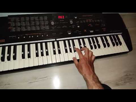 Org ile denemeler, Eklemedir koca konak