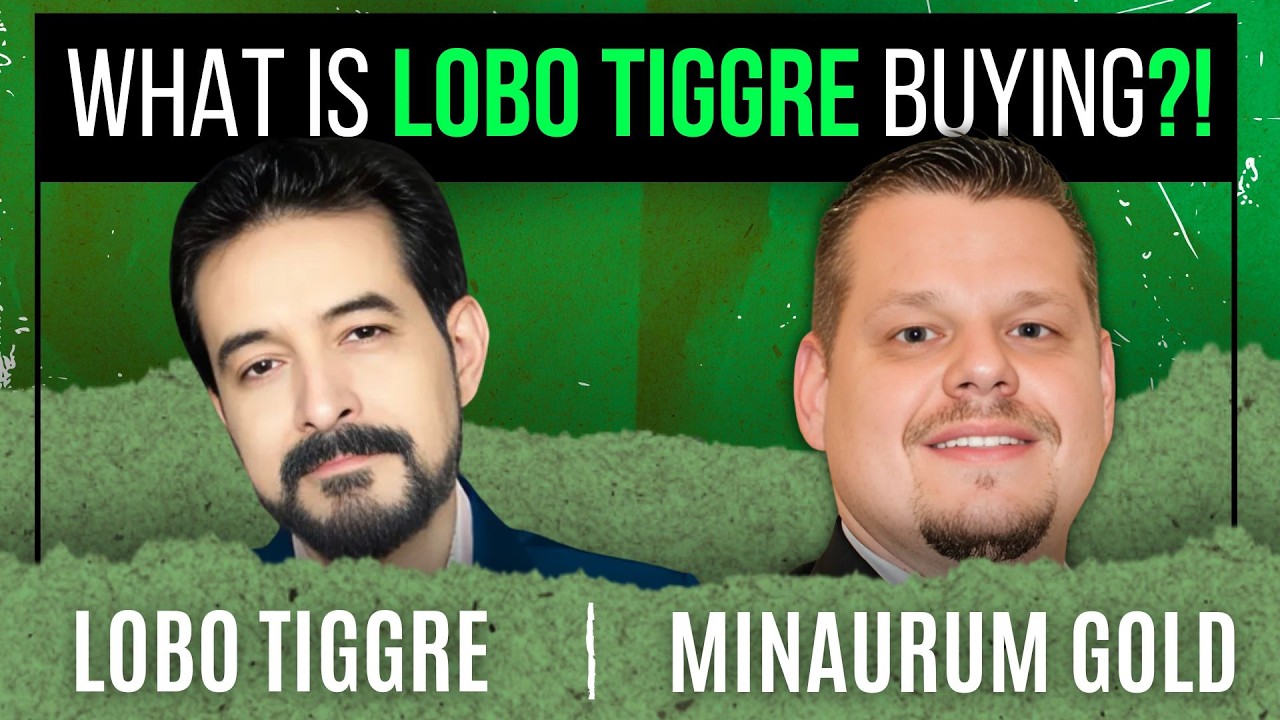 Lobo Tiggre on Which Commodities He Likes + Minaurum Gold CEO Interview - YouTube
