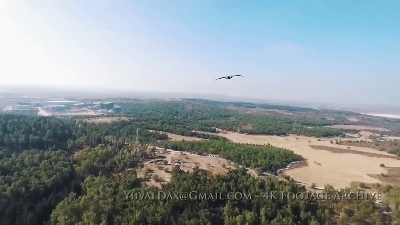 Lesser spotted Eagle Migration - YouTube