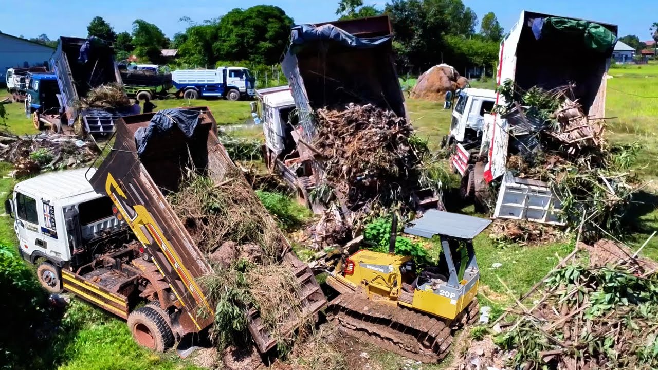 Incredible Dump Trucks Unloading bamboo Tree Stuck In Mud, Successful ...