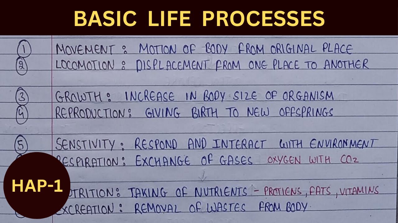 Basic life processes trick MRS GREN | Human Anatomy and physiology ...