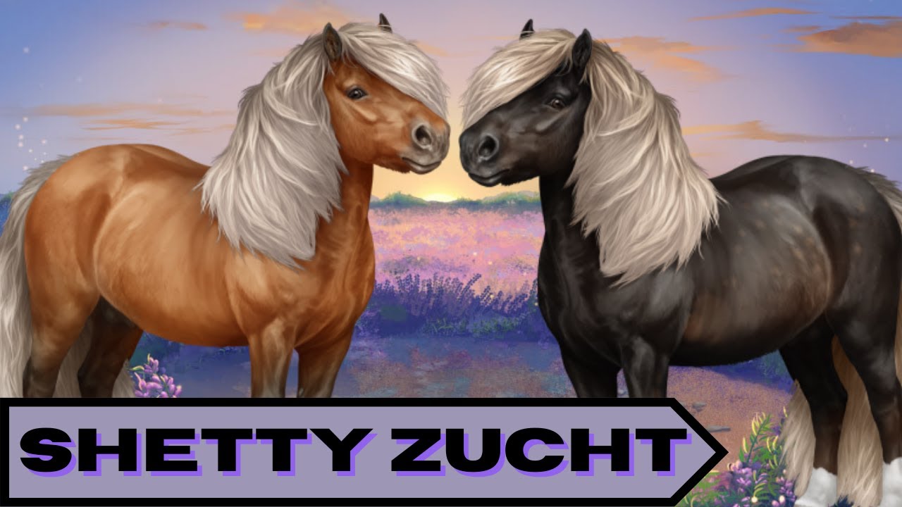 #84 Horse Reality: Wir züchten mit Partnerhengsten für unsere Zilver 🤍 ...