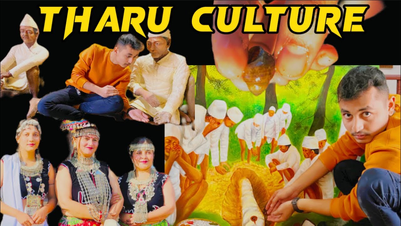 Tharu culture || dress,culture,language|| chakhaura dang || chunu vlogs ...