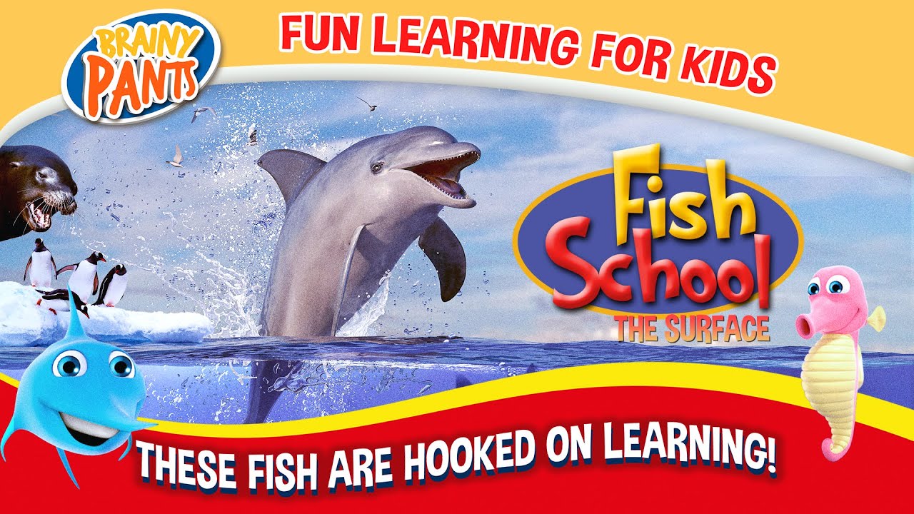 Fish School: The Surface - Trailer | Sarah Taylor, Avery Williams, Tina ...