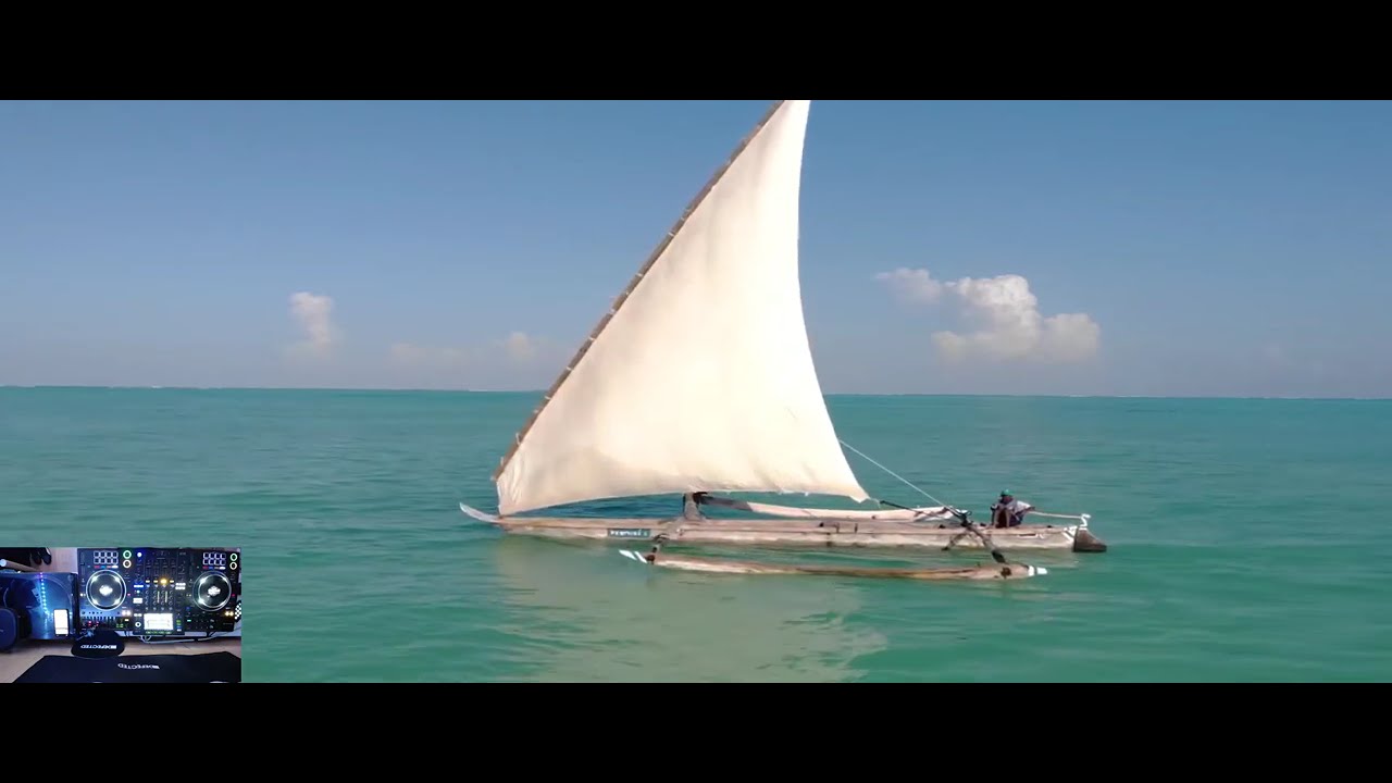 Organic House Mix by Oscar Risan - YouTube