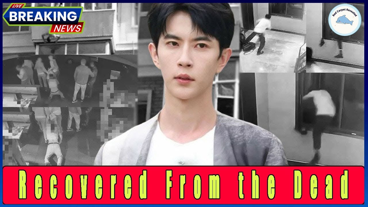 Recovered from the Dead: The Secrets Inside Yu Menglong’s Final ...