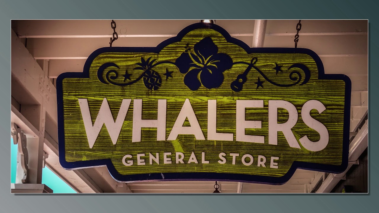 Signs: excerpt one - YouTube