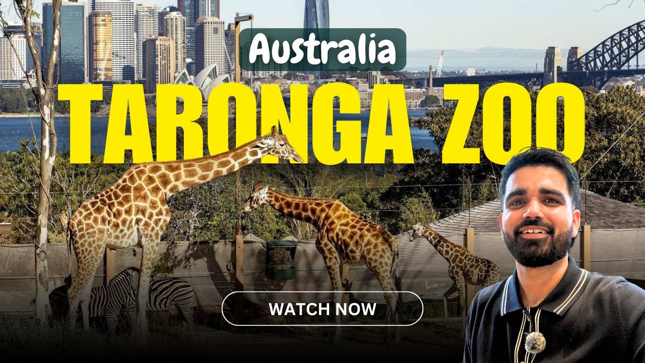 Taronga Zoo After 108 Years - Still The King of Australian Zoos? - YouTube