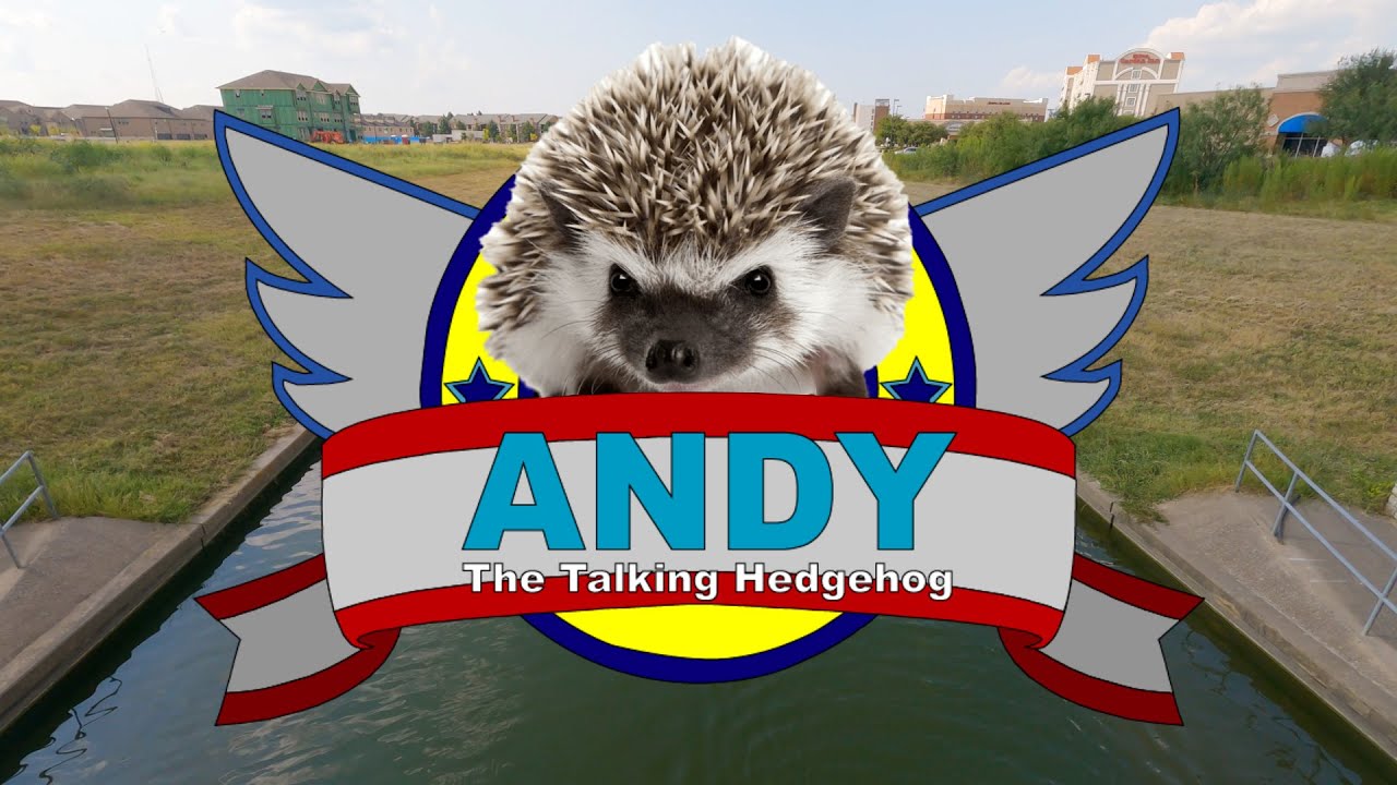 Andy the Talking Hedgehog Is Not Very Good (Tales from Resale Review ...