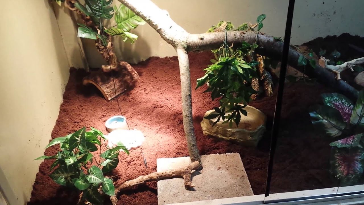 Timor Monitor introduction and enclosure - YouTube