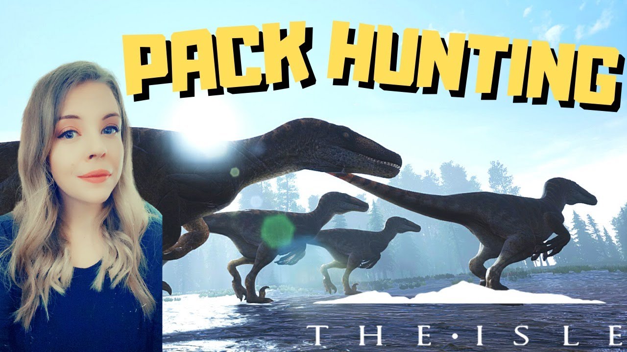 PVP Raptor PACK HUNTING - The Isle - Multiplayer Live PC Gameplay - YouTube