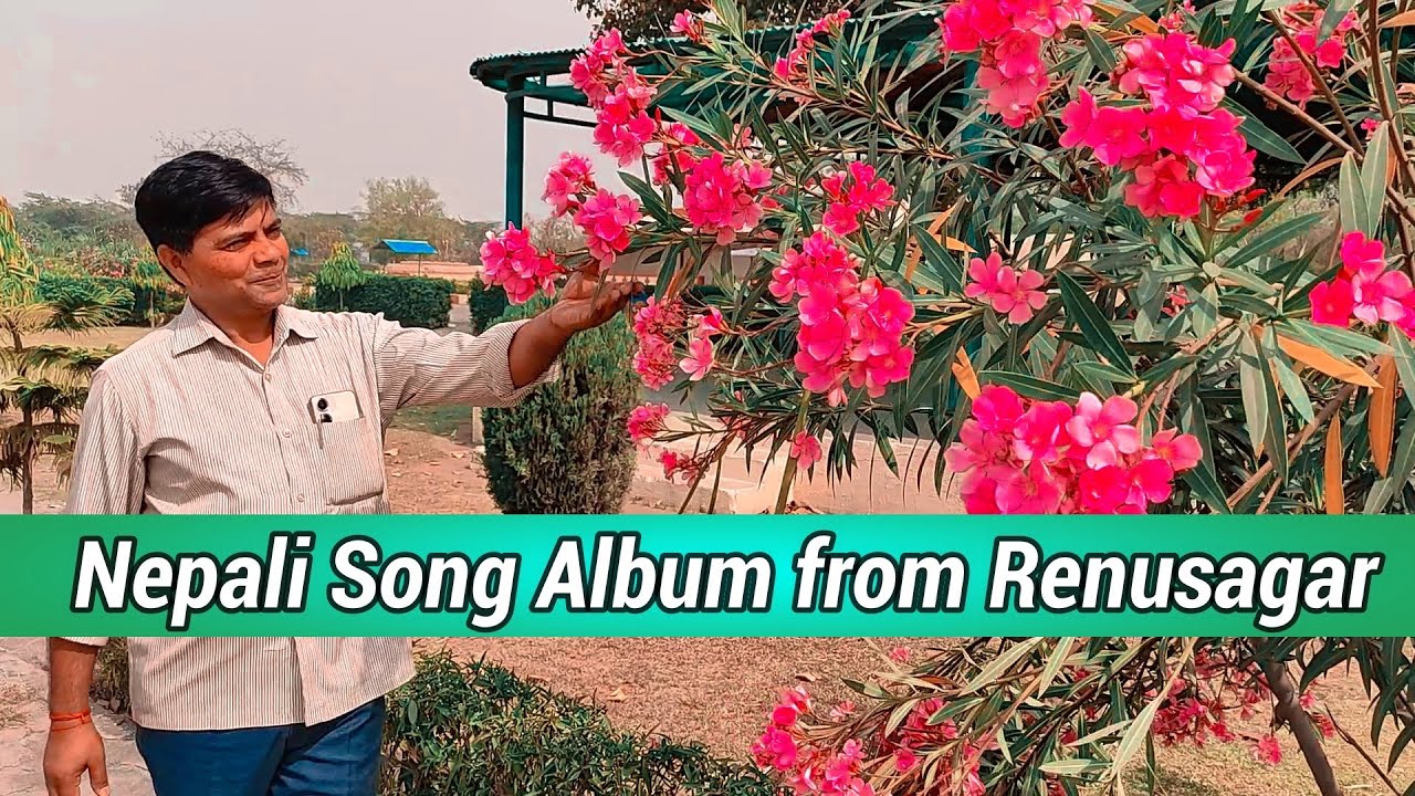 Nepali Hindi Mashup Album #nepal #renusagar - YouTube