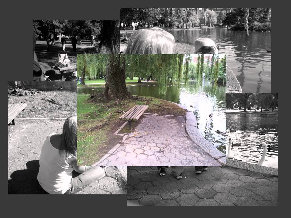 In Loving Memory of Aidan Barnes - YouTube