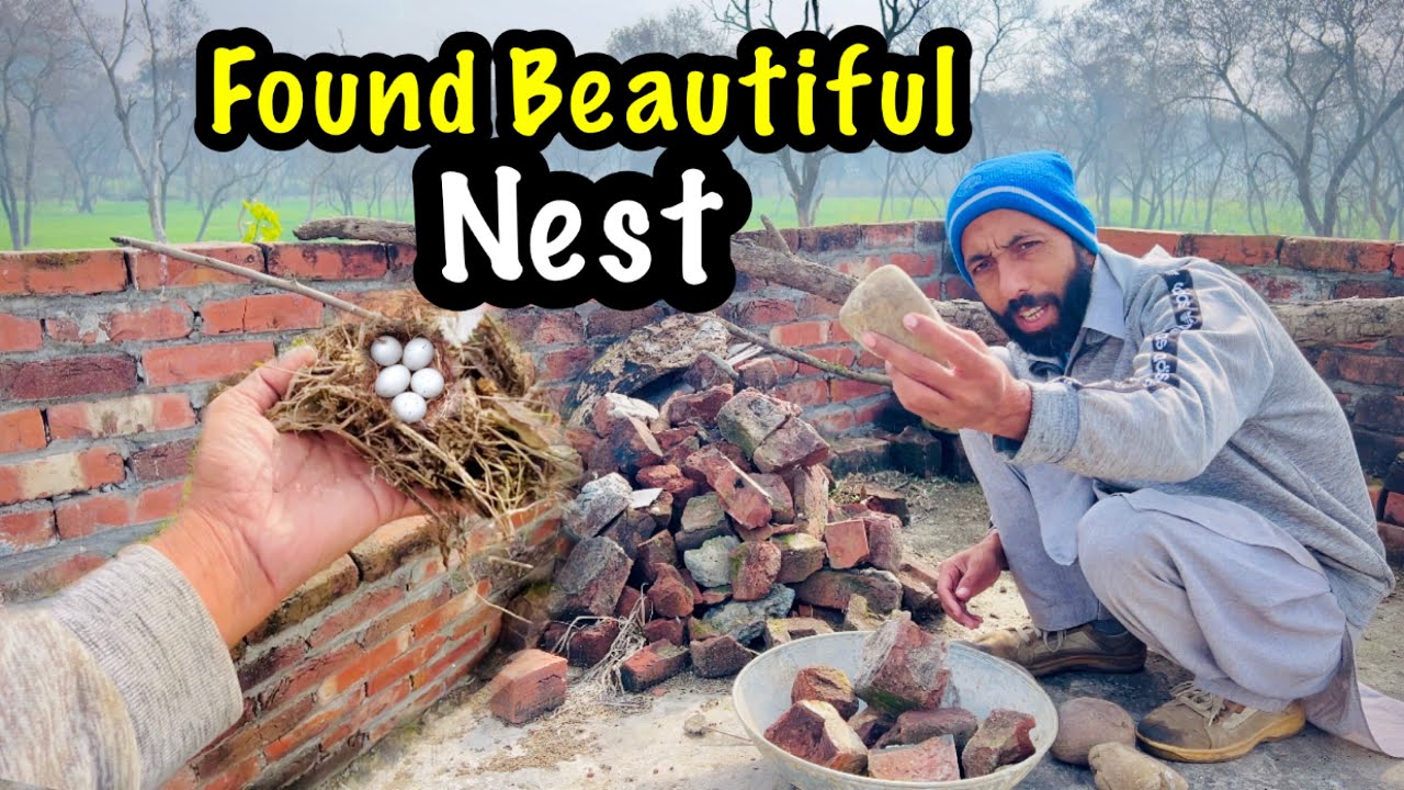 Finally Mazdoori Start Kar Di🥹🥹 | Azmat - YouTube