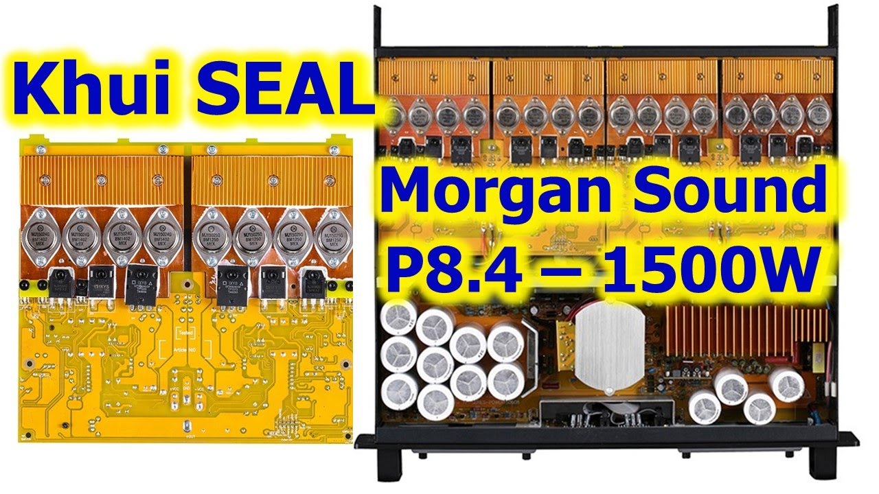 Khách "Khui Seal" Morgan Sound P8.4 - YouTube
