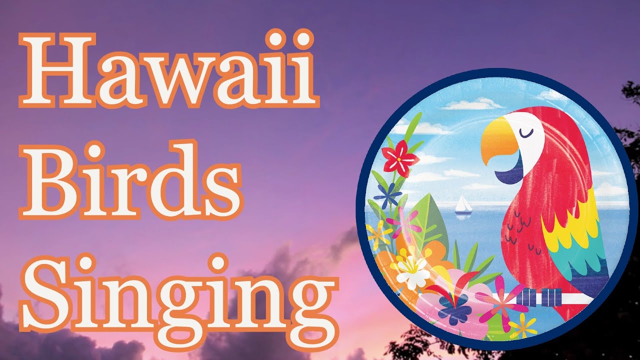 Birds in Kona singing early before the Sunrise in Hawaii - YouTube