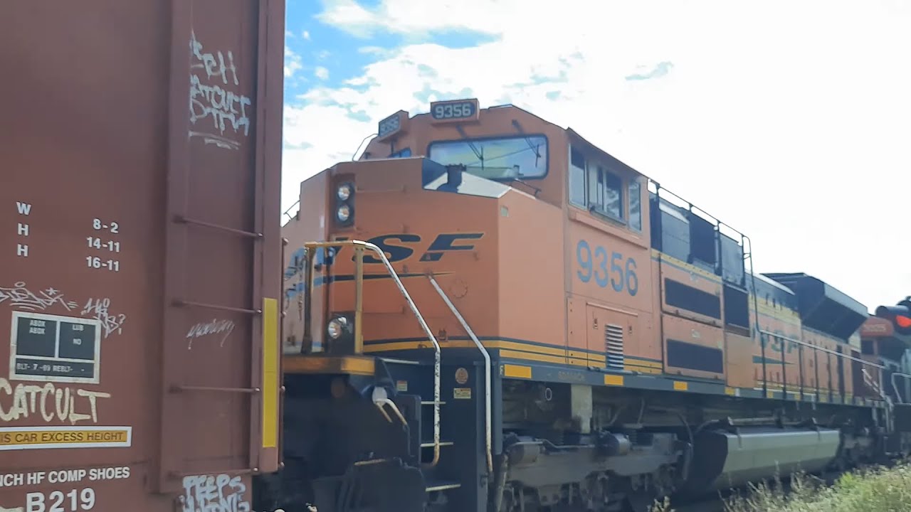 BNSF SD70ACe 9356! CN 397 - 3025W at Ash - August 16, 2022 - YouTube