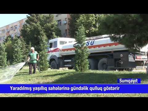 07 08 2020 Sumqayit yasilliq