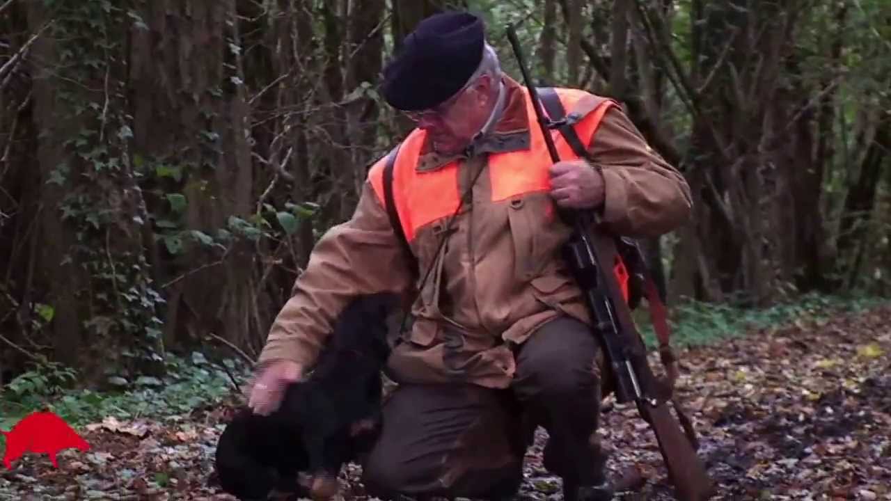 Le teckel à la chasse - YouTube