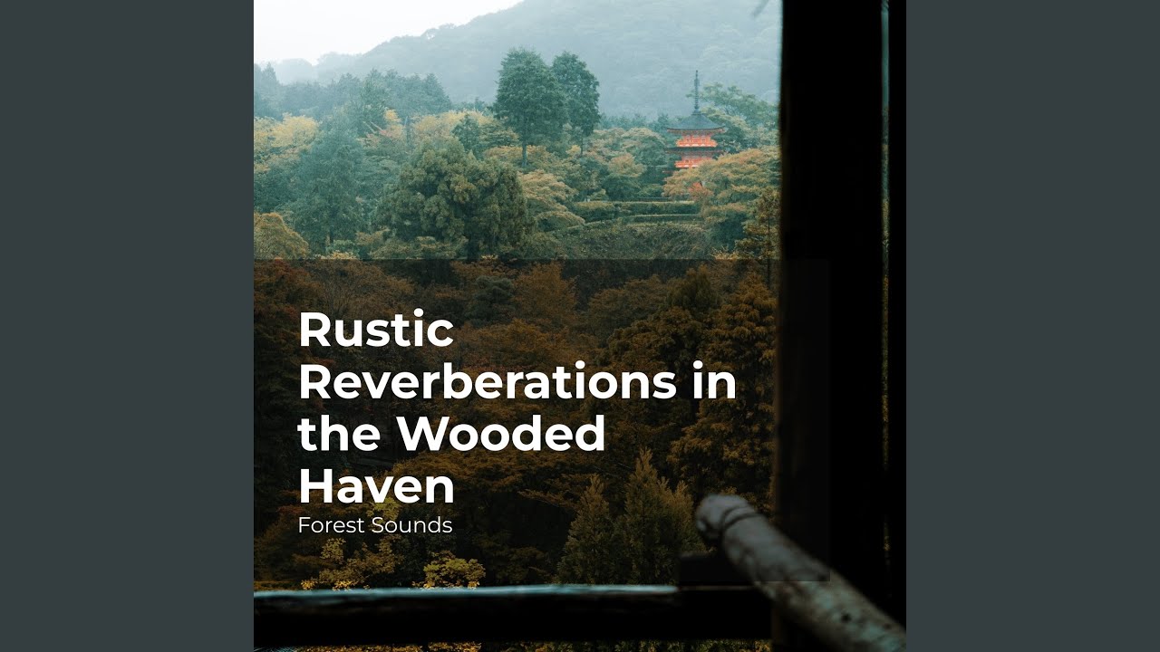 Vehement Coastal Wind - YouTube Music