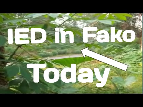 Amba News: Fako Mountain Lions allergely destroy a military vehicle ...